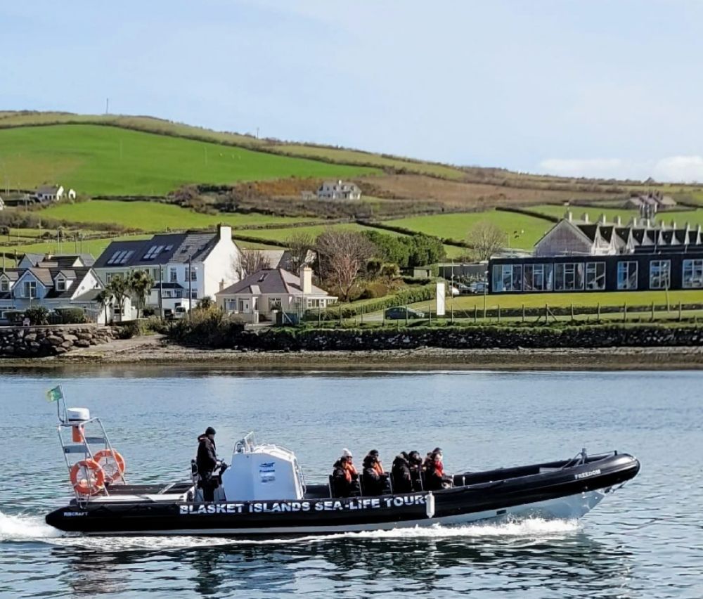 Blasket Islands Sea Life Tours